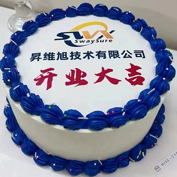 Swaysure Technology Co., Ltd.